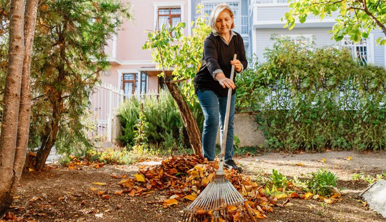 Tips for raking autumn leaves safely and ergonomically.